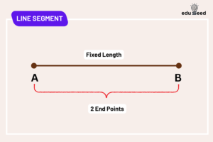 Lines - Parallel, Perpendicular, Rays & Line Segments | Geometry