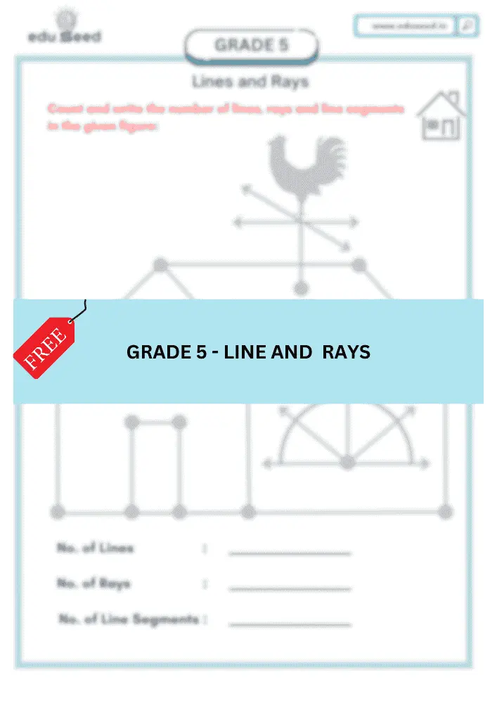 Free Math Worksheet for Grade 4 - Lines , Rays , Line Segment