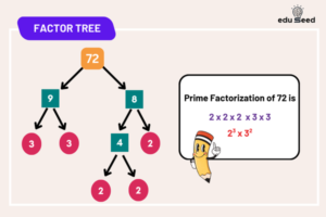 Prime Factorization | Division, Factor Trees - Methods & Examples