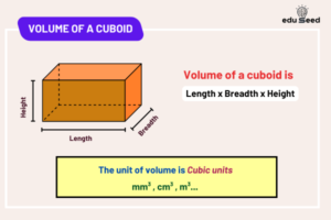 Cubes and Cuboids | Definition, Properties, Formulas Explained