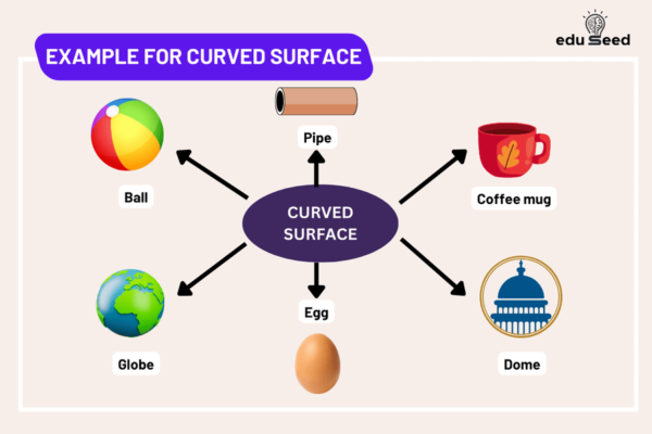 Flat and Curved Surface - Online Coding and Math Classes for Kids | eduSeed