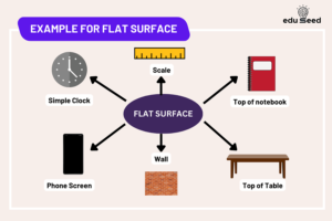 Flat and Curved Surface - Online Coding and Math Classes for Kids | eduSeed