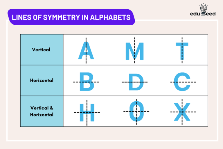 Symmetry | Definition, Examples | Lines of Symmetry & Rotational