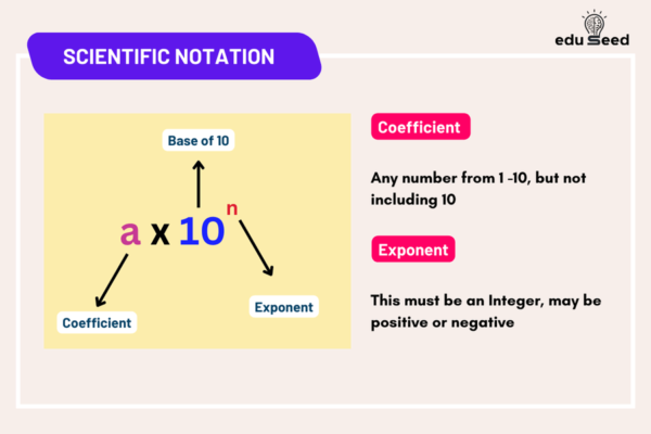 What is Scientific Notation? Definition, Rules, Conversion, Example