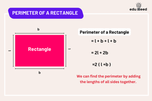 Perimeter Formulas - 2D Shapes | Step-By-Step Explanation