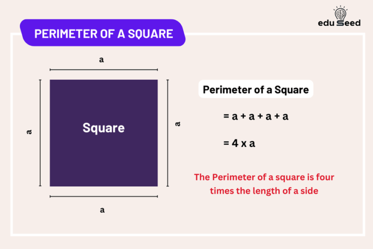 Perimeter Formulas - 2D Shapes | Step-By-Step Explanation
